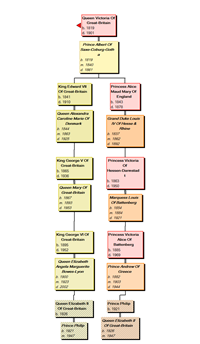 How to prune a family tree - Progeny Genealogy Inc.