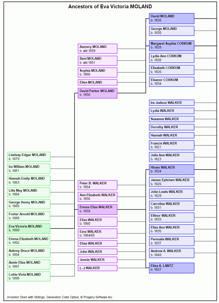 Create Better Family Tree Charts With Charting Companion