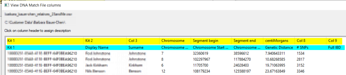 DNA CSV Match Files: How to Define Your Own Format - Progeny Genealogy Inc.