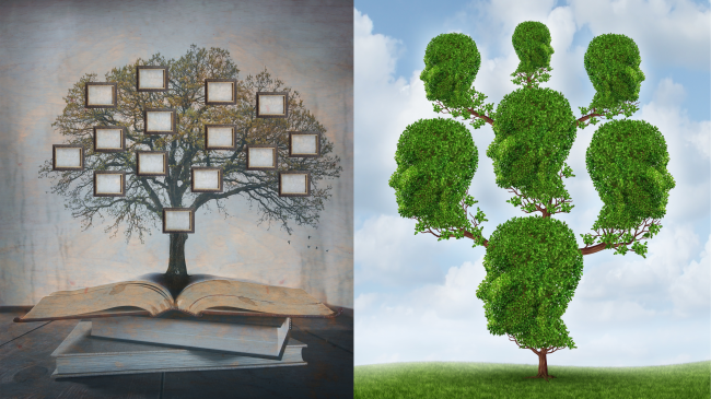 A Beginner's Guide to Family Tree Research - Progeny Genealogy Inc.